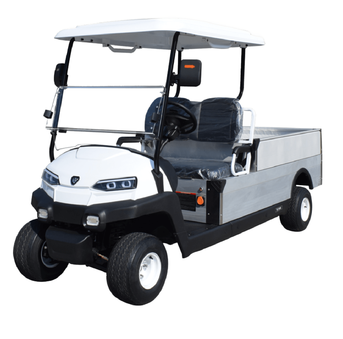 Glide Through the Lifestyle - Zeus Carts